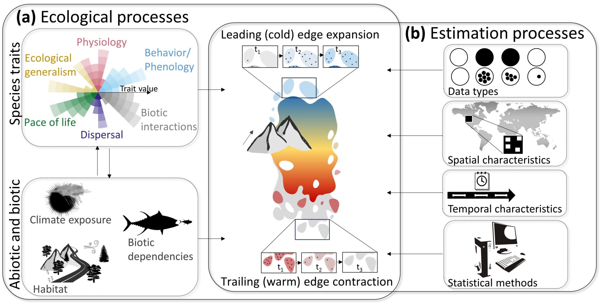A roadmap to better understand climate-mediated species range shifts ...